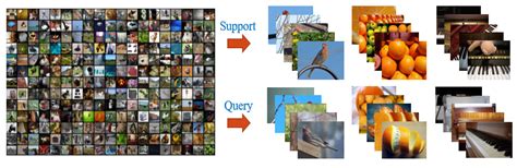 Few Shot Classification With Dual Model Deep Feature Extraction And