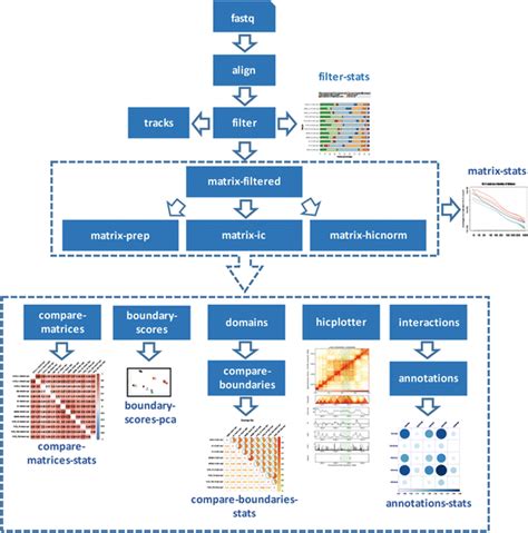 Hic Bench Workflow Raw Reads Input Fastq Files Are Aligned And Then Download Scientific