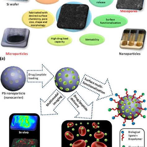Pdf Nanostructured Porous Silicon In Preclinical Imaging Moving From Bench To Bedside