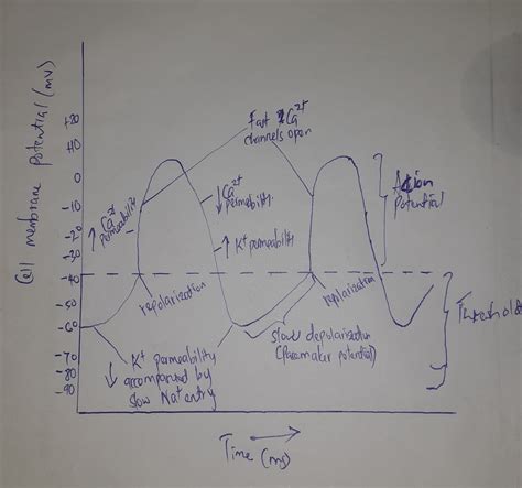 Solved Criteria For Success To Be Successful You Will Make Sure You