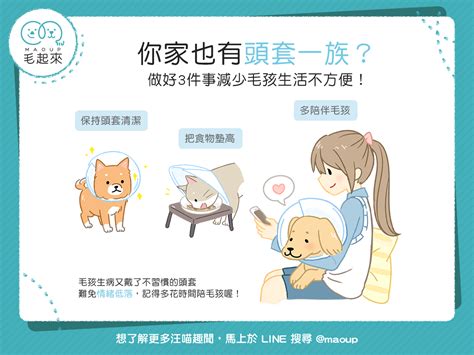 【汪喵生活家】你家也有頭套一族？做好3件事減少毛孩生活不方便！ 毛起來 Maoup