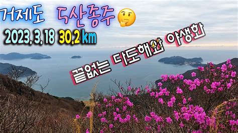 2023 3 18거제도 5산종주 야생화 천국과 다도해 망산 가라산 노자산 선자산 계룡산 YouTube