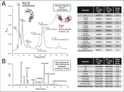 Mapping Igg Subunit Glycoforms Using Hilic And A Wide Pore Amide Stationary Phase Waters