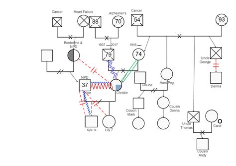 Genogram Example Edrawmax Templates