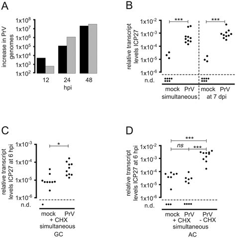 Transcriptional Transactivation Of Hsv 1 Ie Gene Expression By Prv Download Scientific Diagram