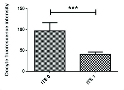 Effect Of Insulin Transferrin Selenium Its On Oocyte Reactive Download Scientific Diagram