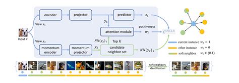 논문 리뷰 Soft Neighbors are Positive Supporters in Contrastive Visual Representation Learning