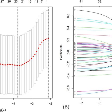 A Optimal parameter λ selected in the LASSO Cox regression model