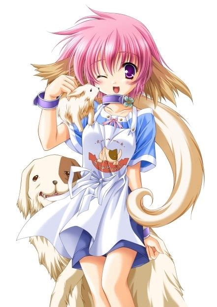 Beautiful Neko Anime Photo 15884211 Fanpop