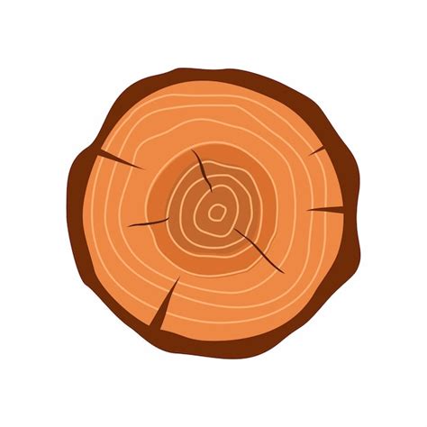 Premium Vector Cross Section Of Tree Stump Tree Trunk Cross Section