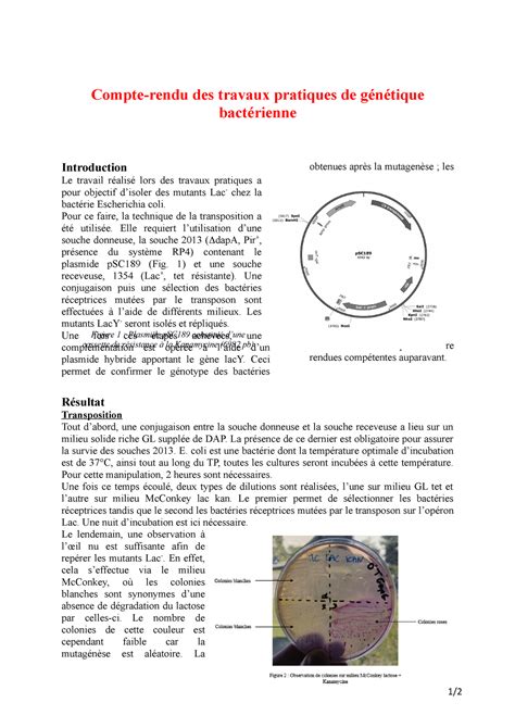 Compte rendu TP Compte rendu des travaux pratiques de génétique bactérienne Introduction Le