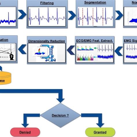 The Standard ECG Waveform Download Scientific Diagram