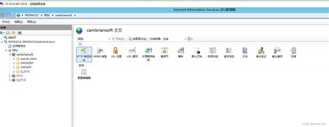 Strict Transport Security Csdn