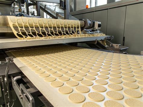 The 5 Best Materials For Food Conveyor Belts