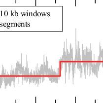 Color Online Segmentation Of The Sequence Of The Q Arm Of Human