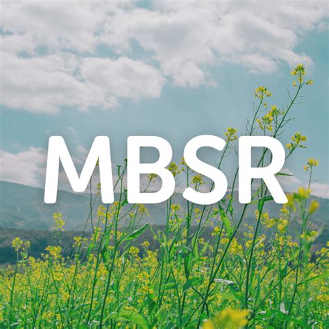 Learn Mindfulness Meditation Centre For Mindfulness Studies In Toronto