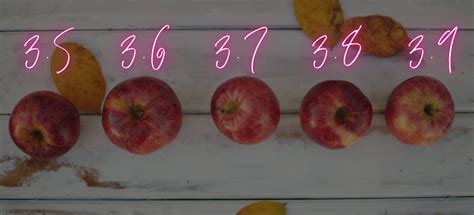 How To Install And Manage Multiple Python Versions On Linux