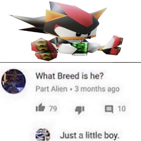 This Model Of Him Is So Cute🙁 Sonic Sonic And Shadow Sonic Funny