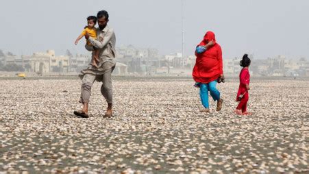 South Asia At Most Risk From Extreme Heat World Bank The Business