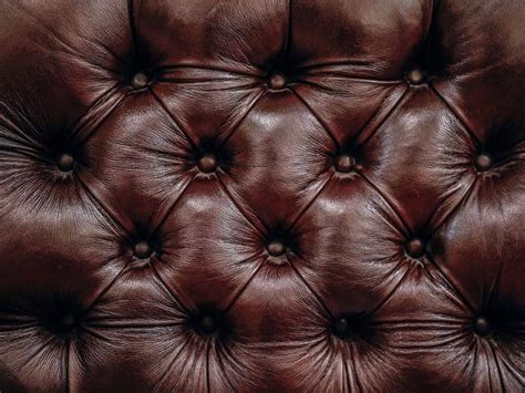 Polipiel La Revolucion De Los Tejidos