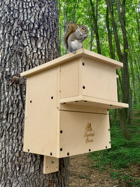 Watchtower Drey Squirrel Boxes