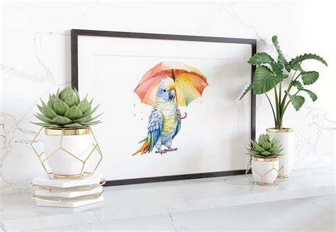 Colorful Watercolor Cockatoo Bundle Clipart Cockatoo Png Cockatoo