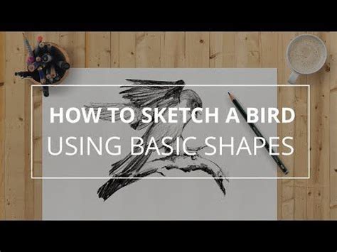 How To Sketch A Bird Using General Shapes ArtTutor Sketches Basic Shapes Basic Sketching