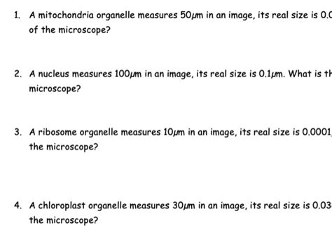 Magnification Questions Teaching Resources