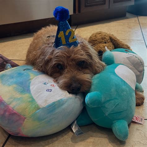 Danielle Mcewan Danielle Mcewan Added A New Photo