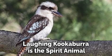 Laughing Spiritual Meaning Symbolism And Totem Explanation