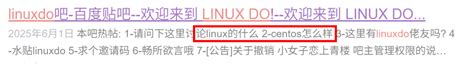 百度搜linuxdo发现竟然有个 搞七捻三 Linux Do