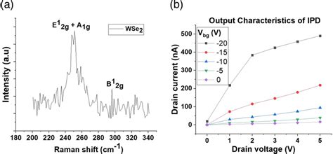 a raman shift of the 45 nm thick wse 2 flake b output
