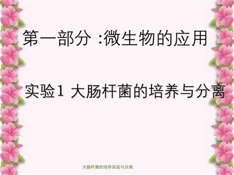 大肠杆菌的培养实验与分离 Word文档在线阅读与下载 无忧文档