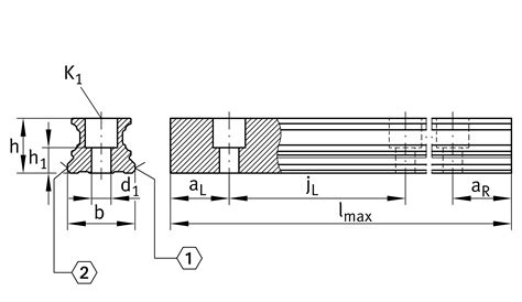 Tkvd15 B Profile Rail Inform Yourself And Order Online On Schaeffler Medias