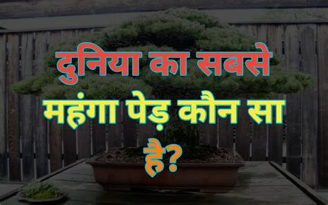 Interesting Gk Questions बताओ दुनिया का वो ऐसा कौनसा पेड़ हैं जो