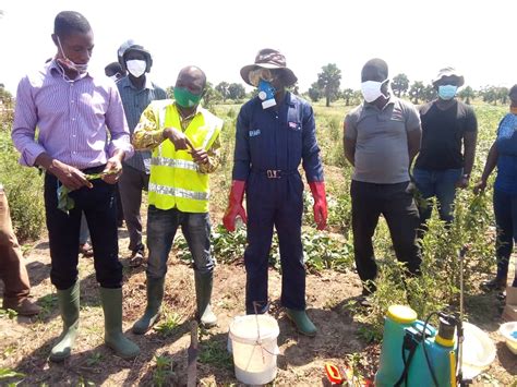 Farmers Urged To Adopt Modern Agricultural Practices Agrictoday