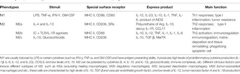 Figure 2 From Polarized Macrophages In Periodontitis Characteristics