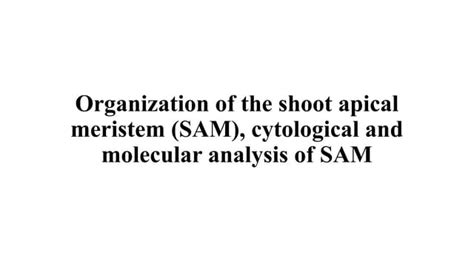 Organization Of Sam Cytological And Molecular Analysispptx
