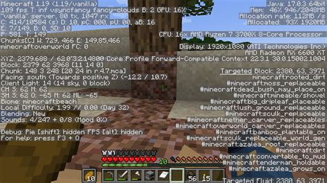 Coordinates Are Being Blocked In The F Screen Anyway To Change The Display Computer Info