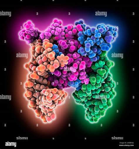 Rna Carbon Storage Regulator Complex Computer Model Showing An Rna