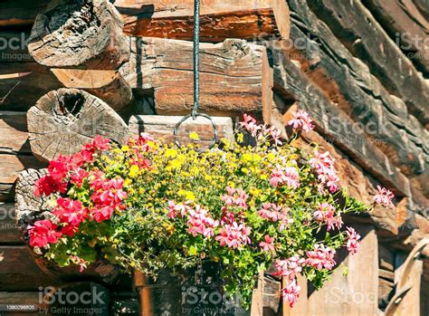 스위스 알프스의 목조 주택 0명에 대한 스톡 사진 및 기타 이미지 0명 경관 계곡 Istock