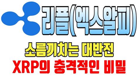 리플 전망 소름끼치는 대반전 리플 리플코인 리플전망 리플코인전망 리플분석 리플목표가 업비트시황 코인시황 급등코인추천 리플대응 엑스알피 엑스알피전망