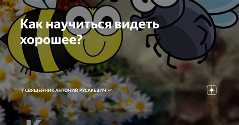 Как научиться видеть хорошее ☦️ Священник Антоний Русакевич Дзен