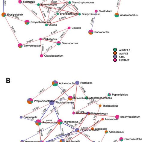 Correlation Network Analysis Between Microbial Community Of European