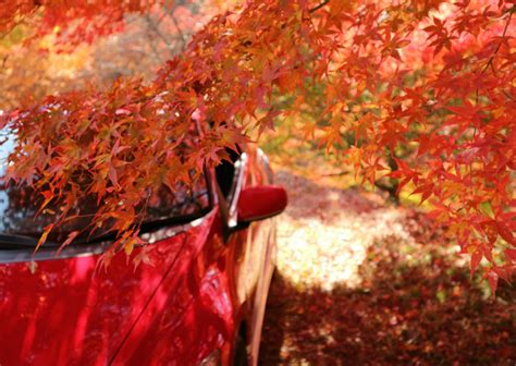 紅葉とcr Z Cr Z ユーザーズボイス 愛車自慢と評価 Honda公式サイト