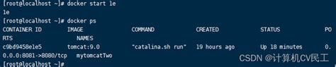 Docker Start启动容器不报错，却无法正常启动docker Start 容器起不来 Csdn博客