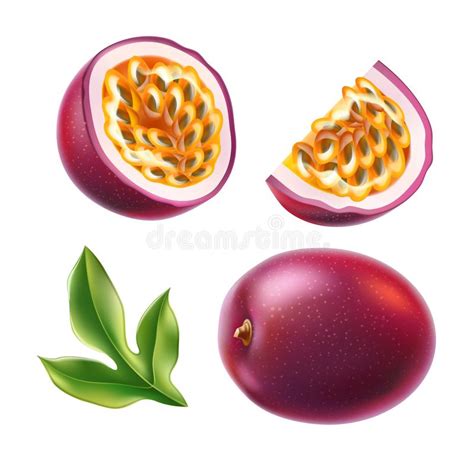 Vector Realistic Passionfruit With Seed Green Leaf Stock Vector