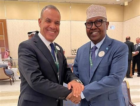 Egypt To Join New Au Peacekeeping Force In Somalia Fm