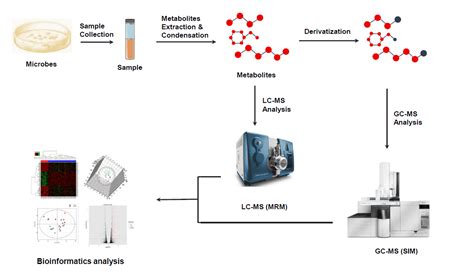 Microbial Metabolomics Service Mtoz Biolabs