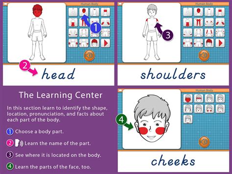 Parts Of The Human Body Montessori Anatomy Latest Version 10 For Android